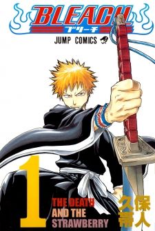 Bleach (manga) - Shinden, Shinden