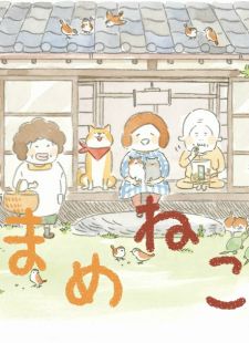 Mameneko (anime) - Shinden, Shinden