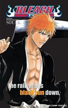 SOULS:Bleach Official Character Book (manga) - Shinden, Shinden