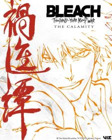 Bleach: Sennen Kessen-hen - Kashin-tan (anime) - Informacje o epizodach ...